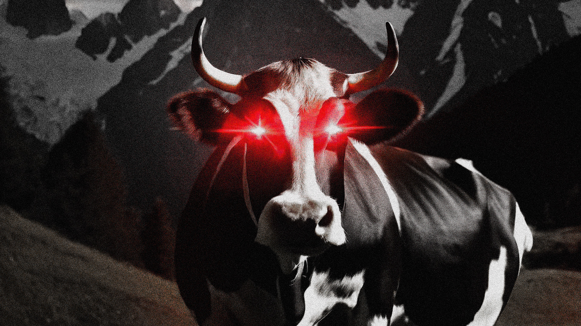 News & Updates – Winona County Democratic Farmer Labor Party